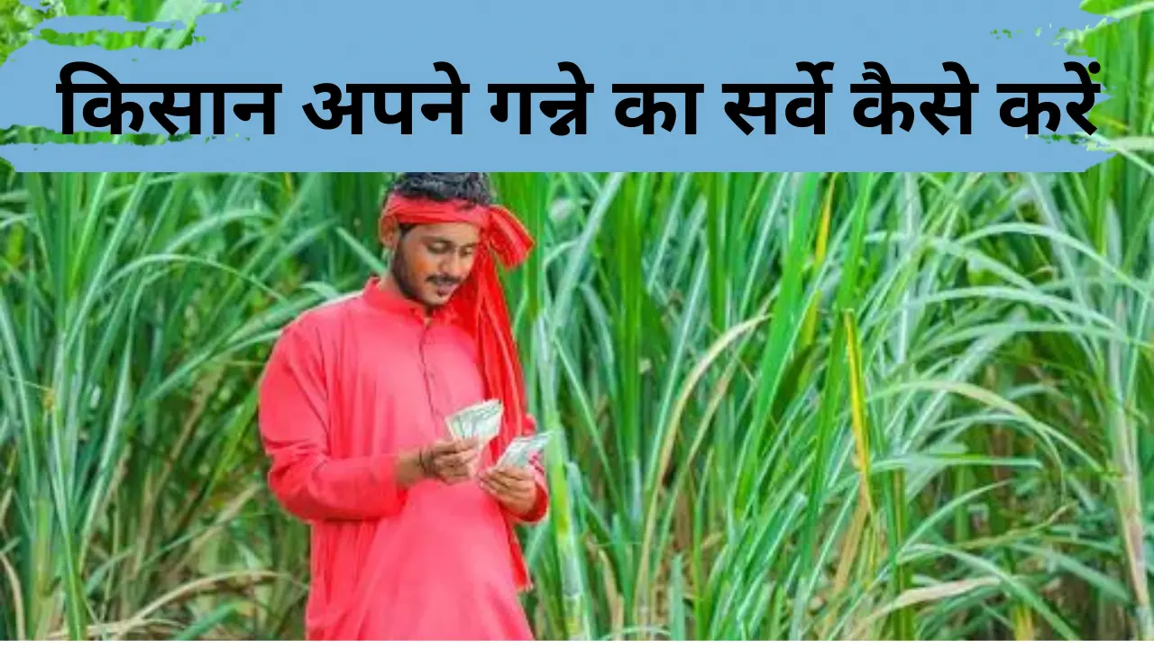 cane up.in | cane up | caneup | गन्ना पर्ची दखे