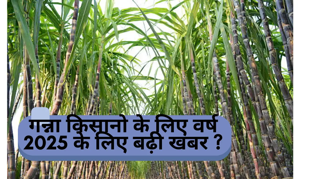 cane up.in | cane up | caneup | गन्ना पर्ची दखे